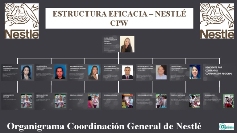 Organigrama de Nestle Coordinacion General Estructura Eficacia ...