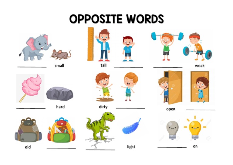 Opposite Words | PDF