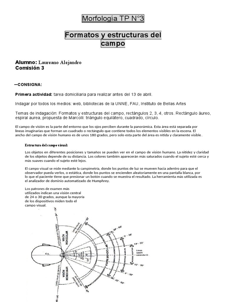 Formatos y Estructuras Del Campo | PDF | Rectángulo