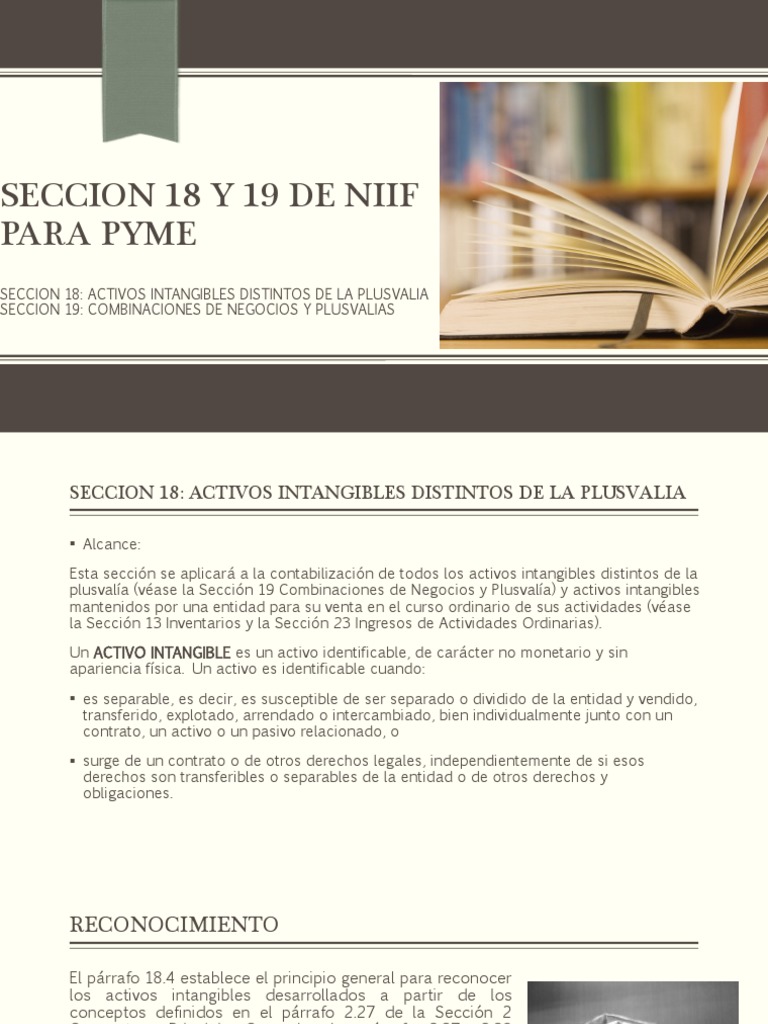 NIIF 18 y 19: Activos Intangibles y Plusvalías | PDF