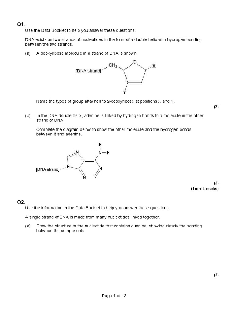 DNA Structure and Interaction Insights | PDF