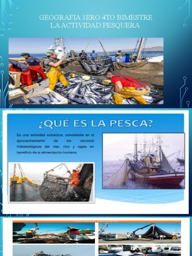 Geografia 1ero Tema La Pesca Fecha 3 Noviembre | PDF