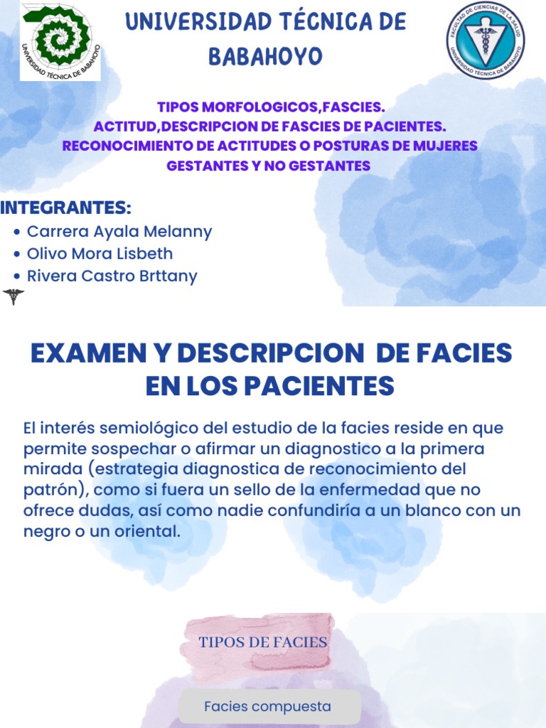 Facies | PDF