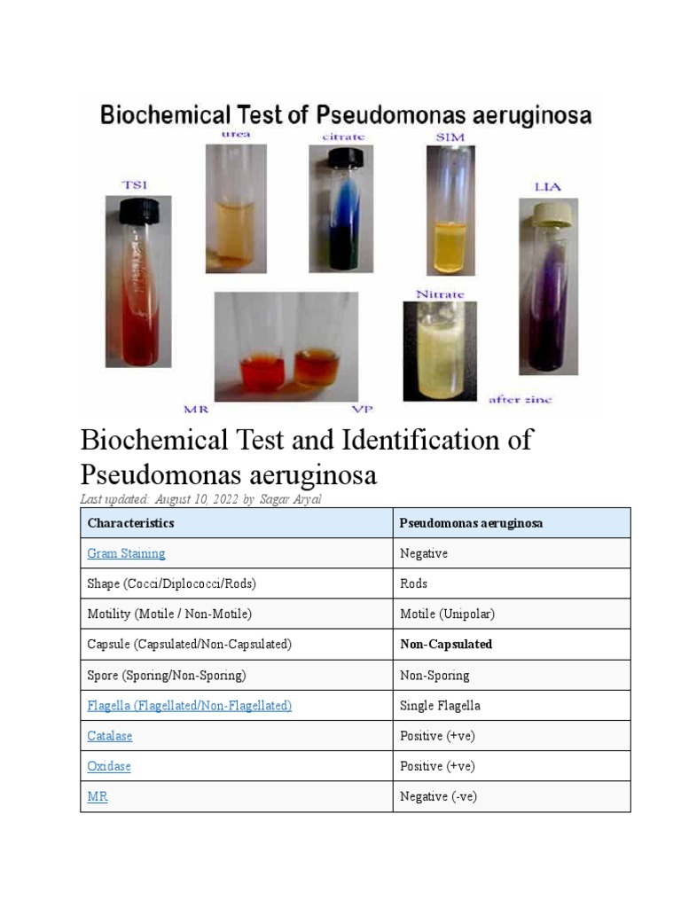Biochemical Tests for Pseudomonas aeruginosa | PDF | Pseudomonas ...