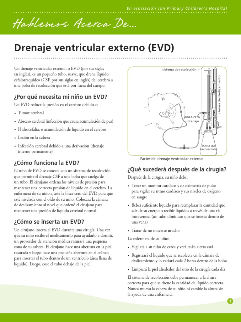 External Ventricular Drain (EVD) (Let's Talk About... Pediatric Brochure) Spanish | PDF ...