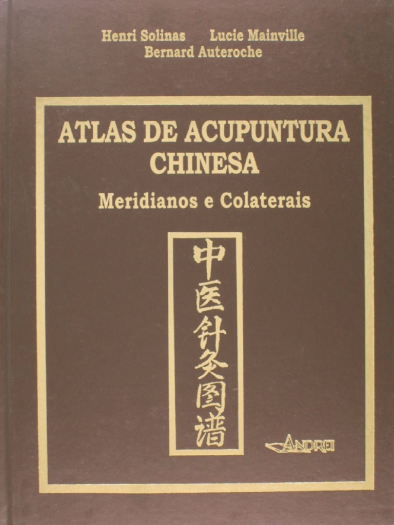 Resumo Atlas de Acupuntura Chinesa Meridianos e Colaterais Henri ...