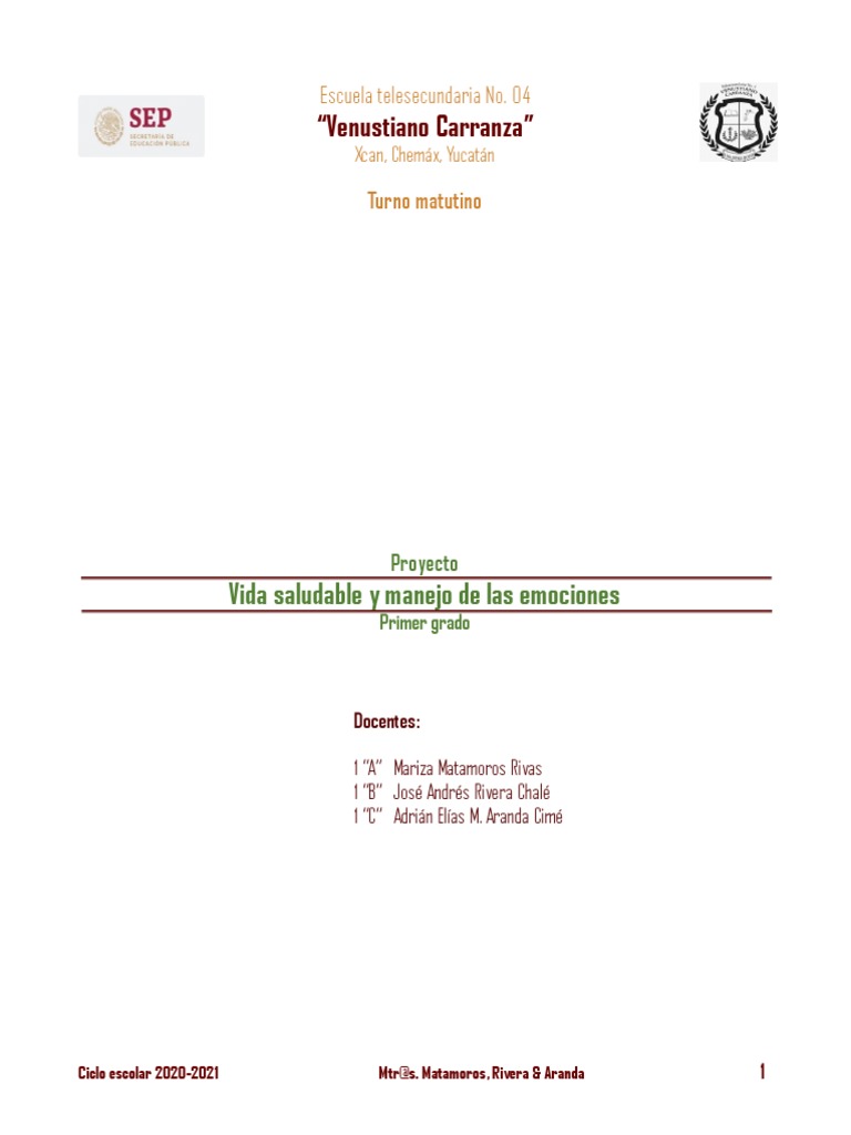 Proyecto - Vida Saludable y Manejo de Las Emociones | PDF