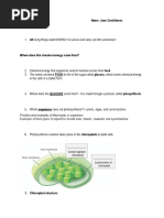 Grade 11 Photosynthesis Overview | PDF | Photosynthesis | Adenosine ...
