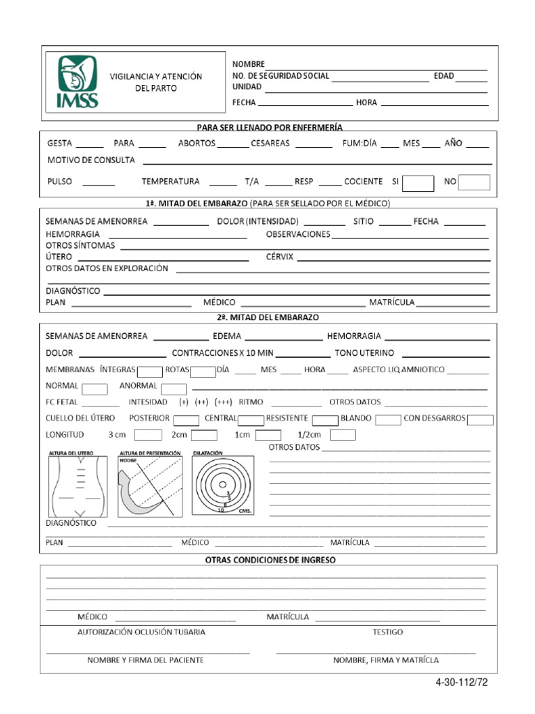 Vigilancia y Atención Del Parto Formato | PDF