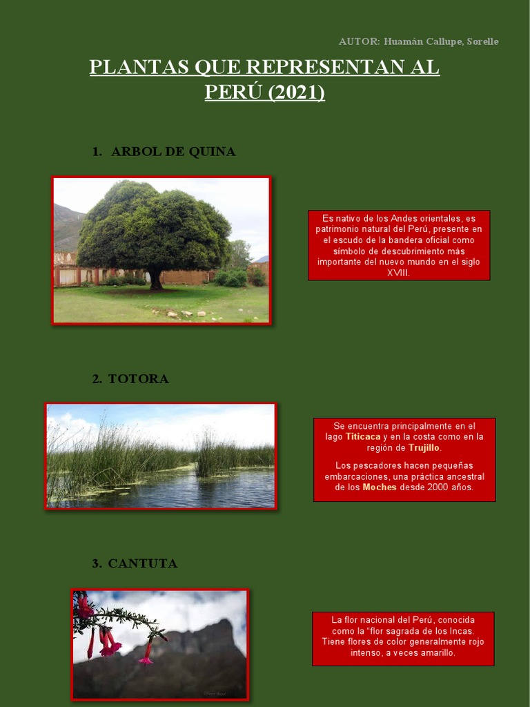 Plantas Del Peru | PDF | Perú | Plantas