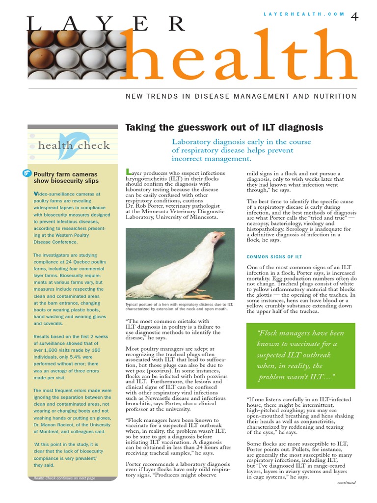LayerHealth Issue4 | PDF