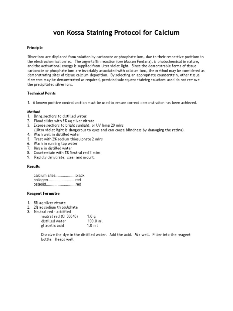 Von Kossa Staining Protocol For Calcium | PDF