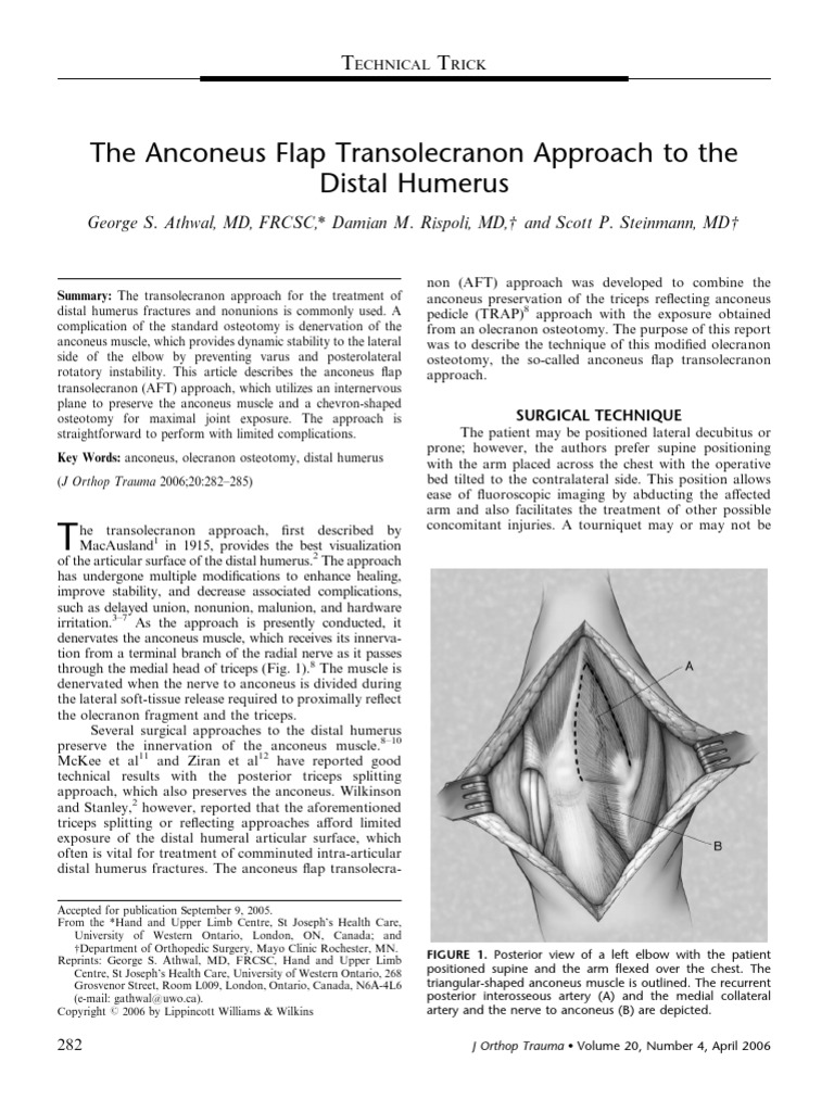 Athwal (JOT 2006) - The Anconeus Flap Transolecranon Approach to the ...