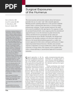 Palmar Approach - Modified Henry Approach | PDF | Hand | Human Anatomy