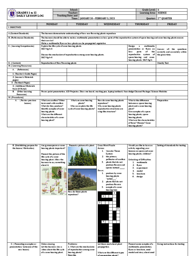 DLL - Science 6 - Q2 - W8 | PDF | Plants | Seed