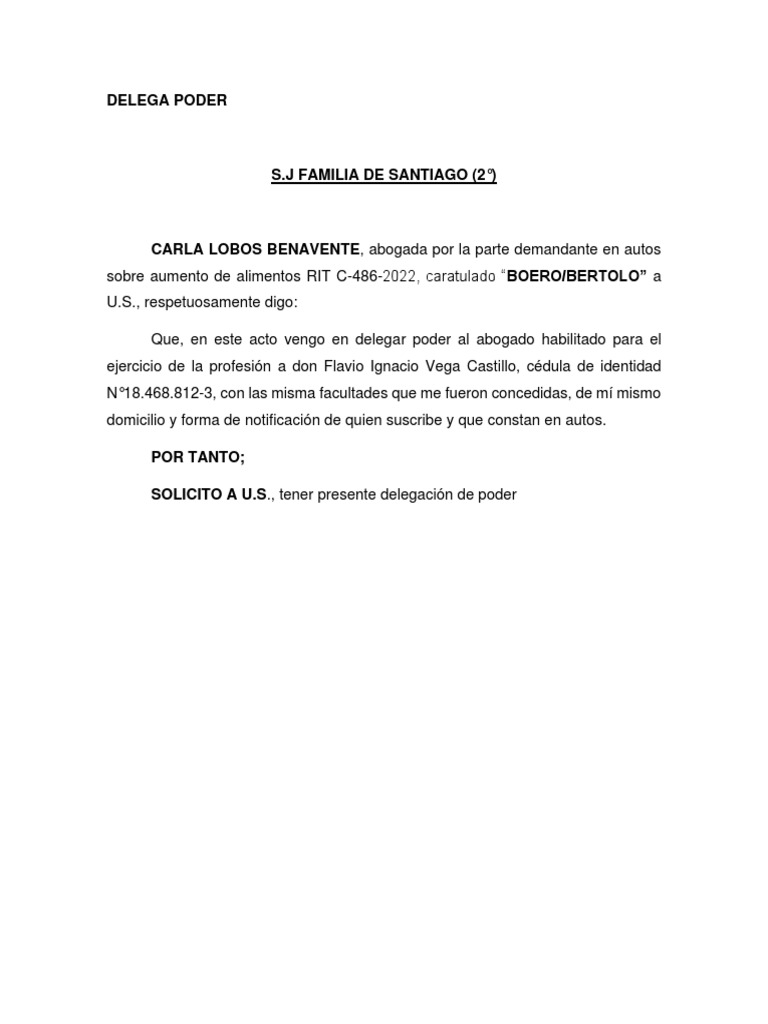 Delega Poder Ignacio | PDF