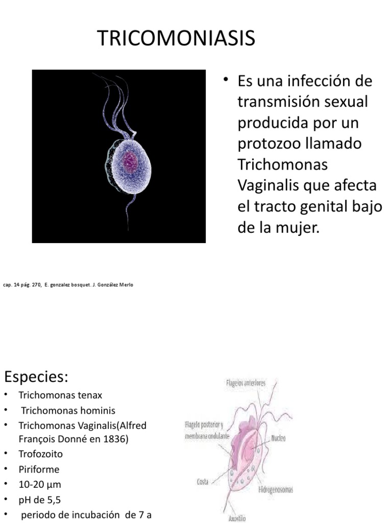 Tricomoniasis Diapositiva | PDF | Epidemiología | Enfermedades y trastornos