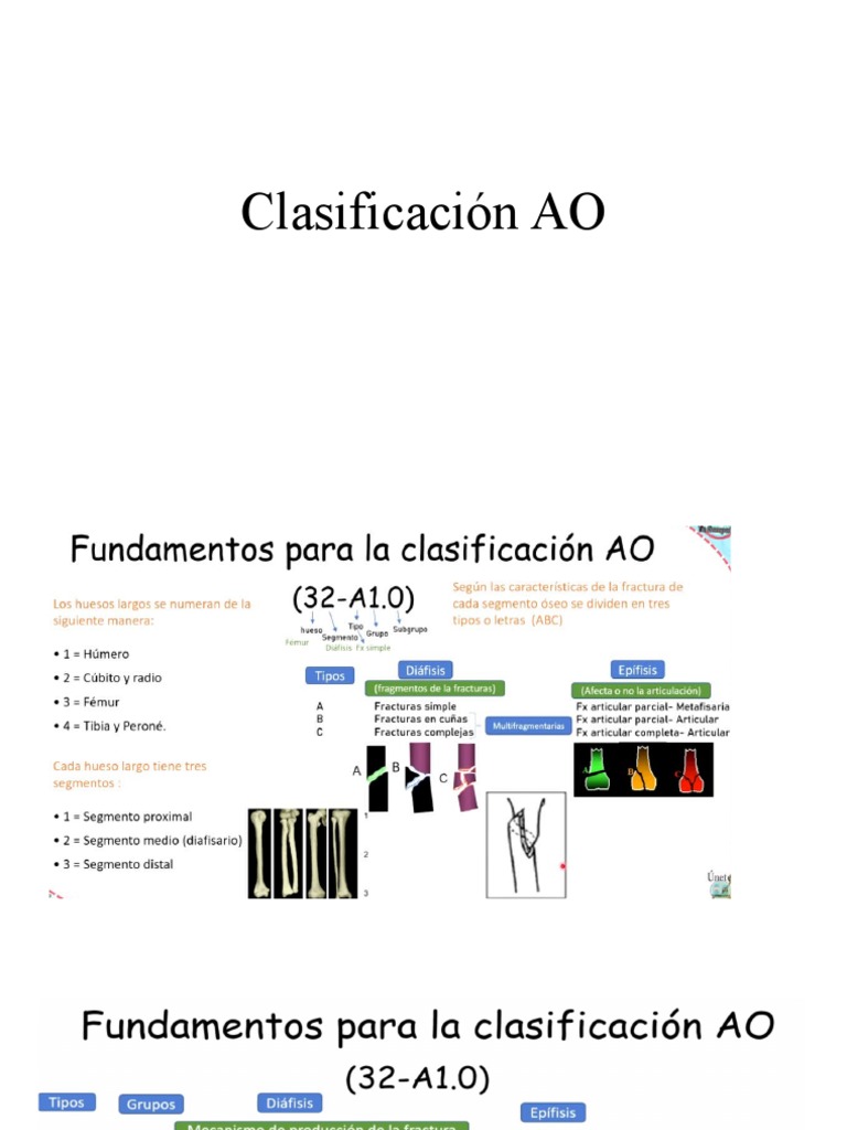 Clasificación AO | PDF