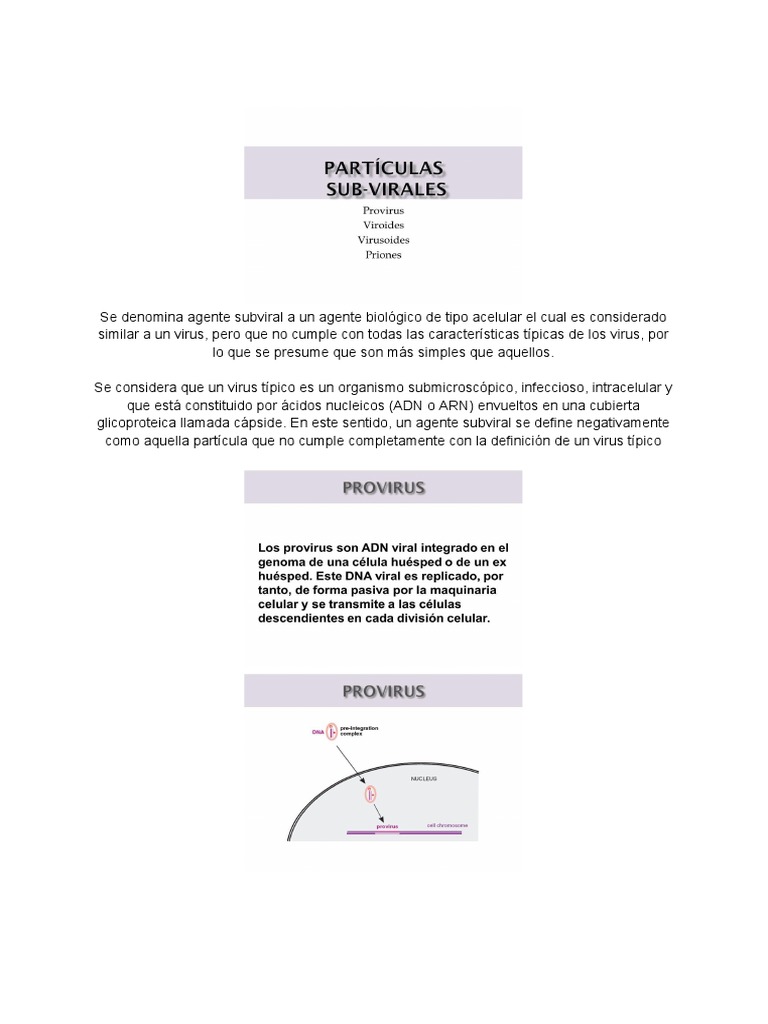 Agentes Subvirales: Provirus, Viroides y Priones | PDF | Virus ...