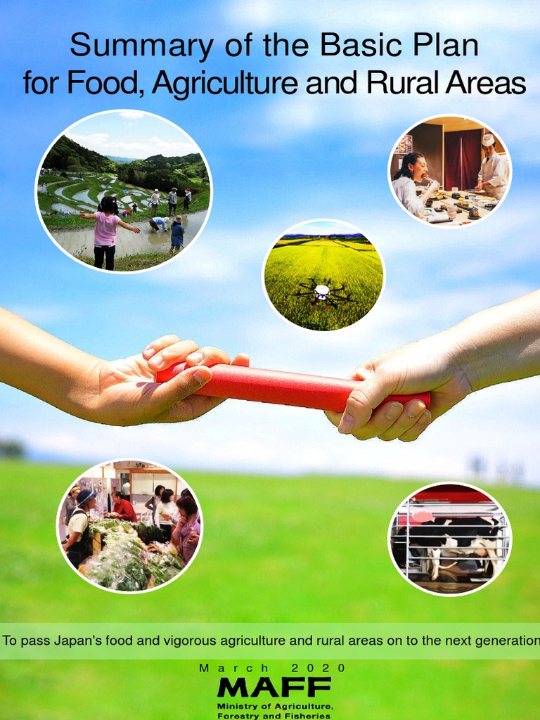 Summary of The Basic Plan For Food, Agriculture and Rural Areas | PDF ...