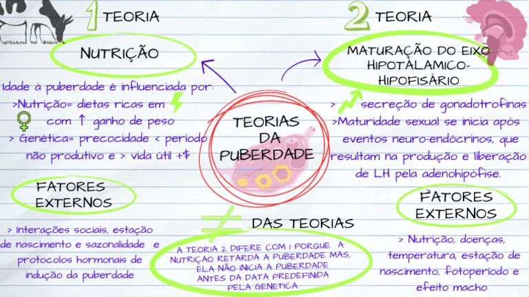 Fatores que Influenciam a Puberdade | PDF | Bem-estar