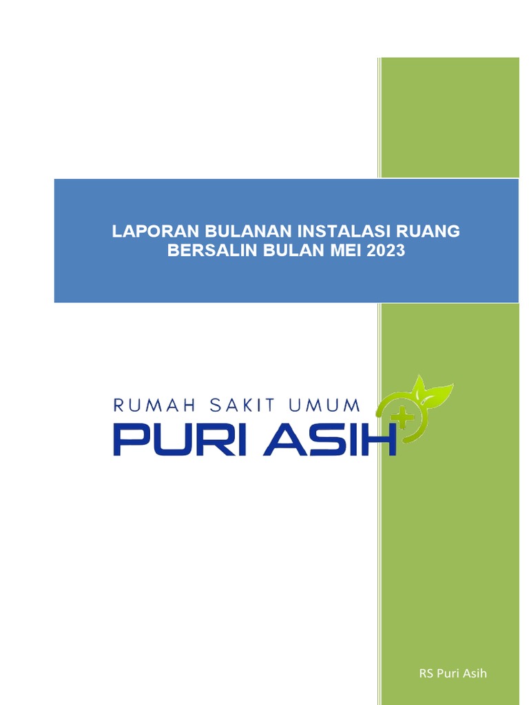Laporan MEI 2023 IRB | PDF
