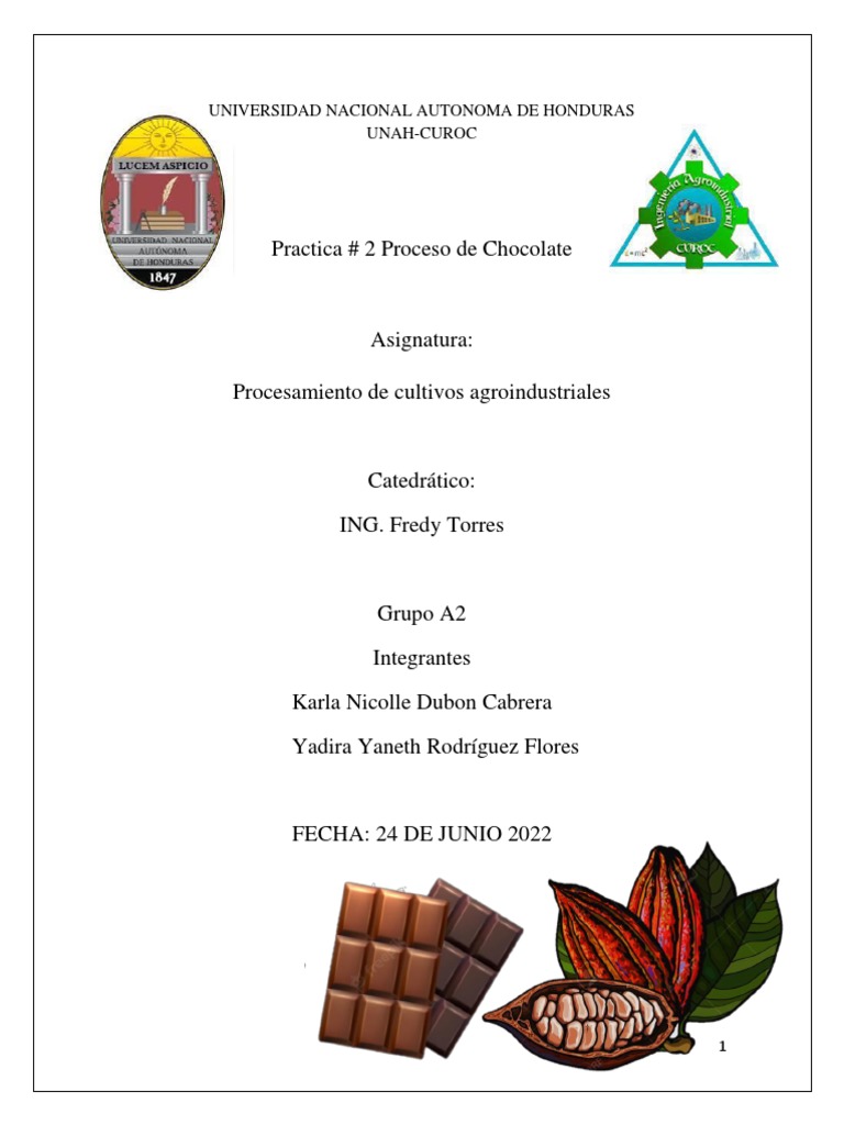 Proceso de Elaboración del Chocolate | PDF | Chocolate | Comida y bebida