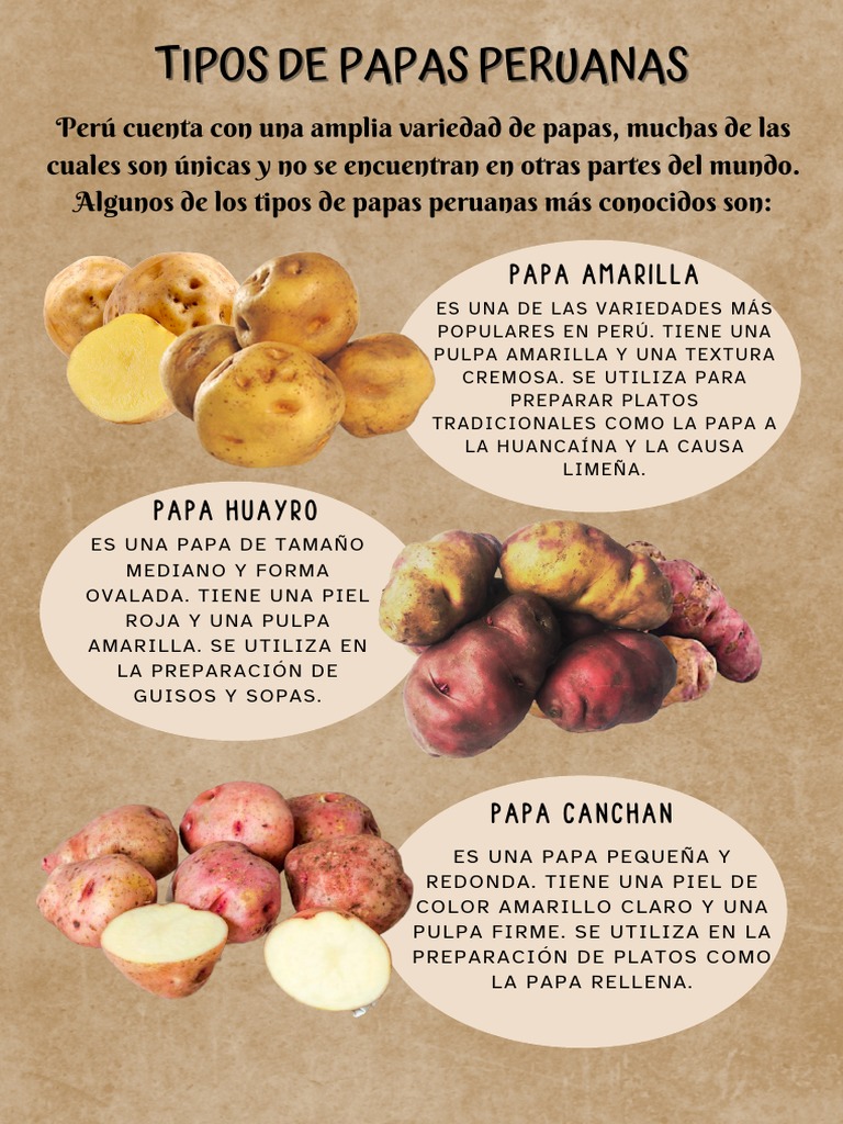 Variedades de Papas Peruanas | PDF