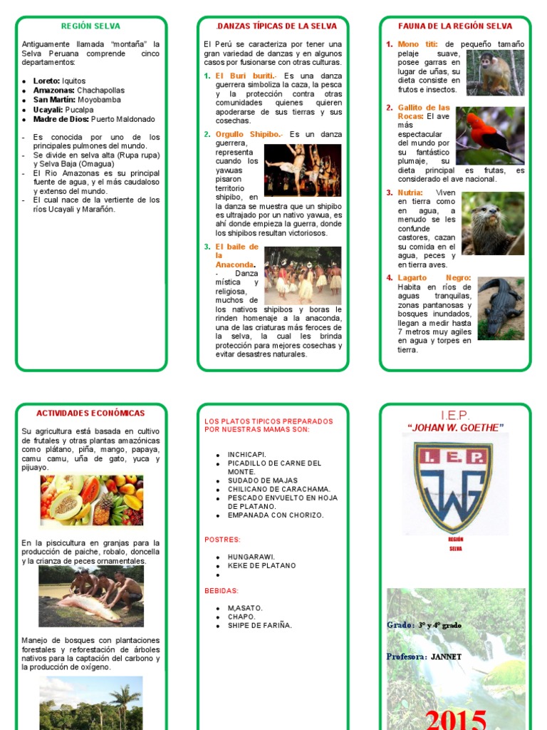 Dokumen - Tips - La Selva Triptico | PDF