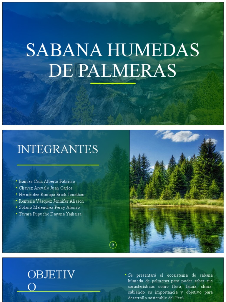 Sabana Humedas de Palmeras | PDF | Los bosques | Clima
