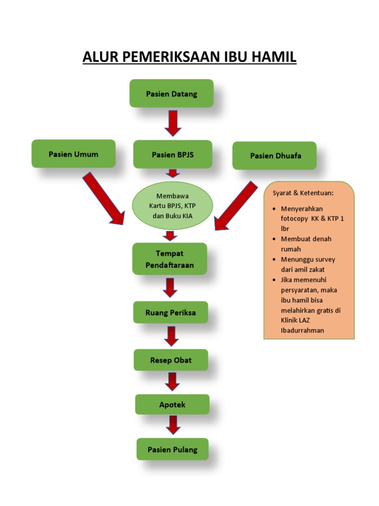 Alur Pemeriksaan Ibu Hamil | PDF