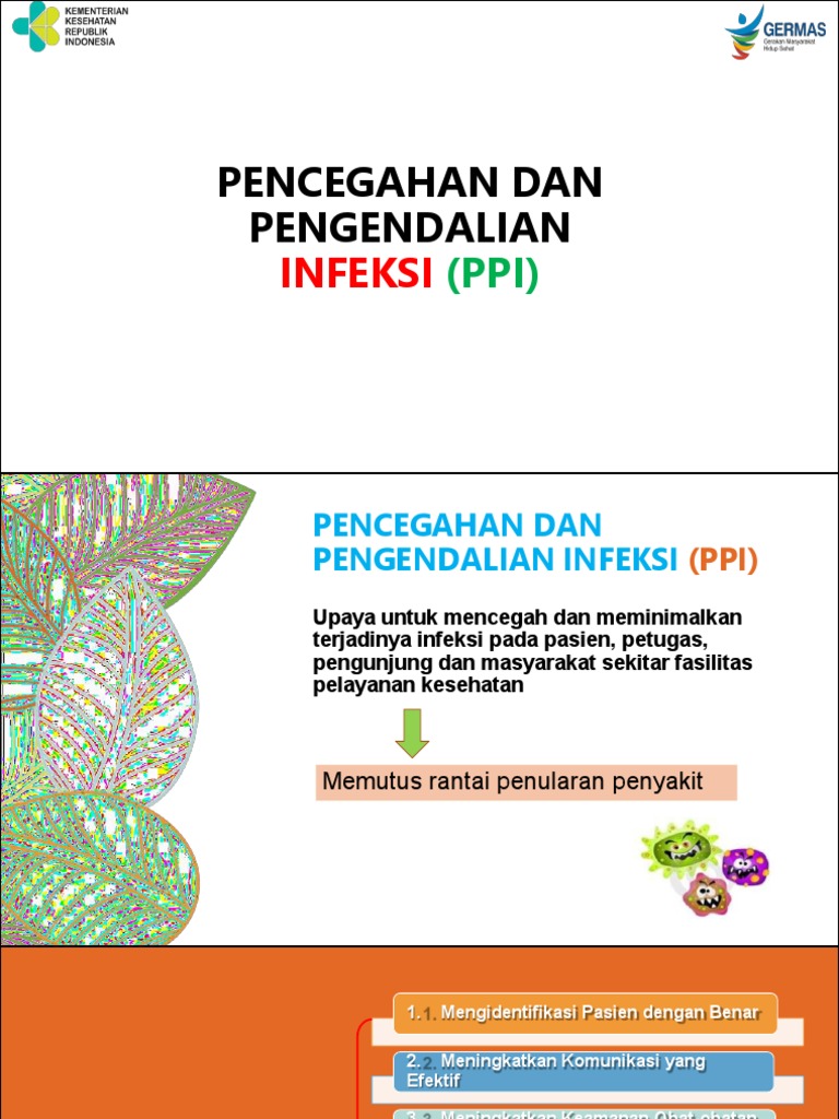 Program PPI di Fasilitas Kesehatan | PDF