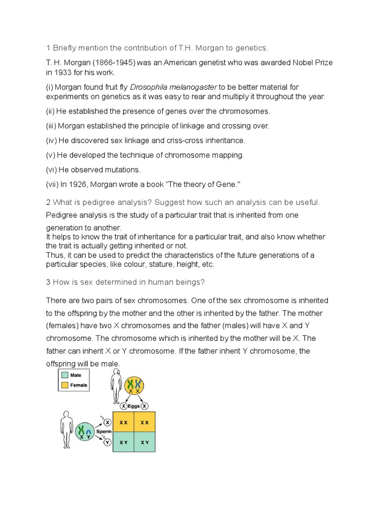 1 Briefly Mention The Contribution of T.H. Morgan To Genetics | PDF ...