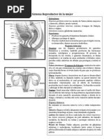 2.7. Exploración Testicular. 2.8. Escroto. 2.9. Técnicas y Maniobras de ...