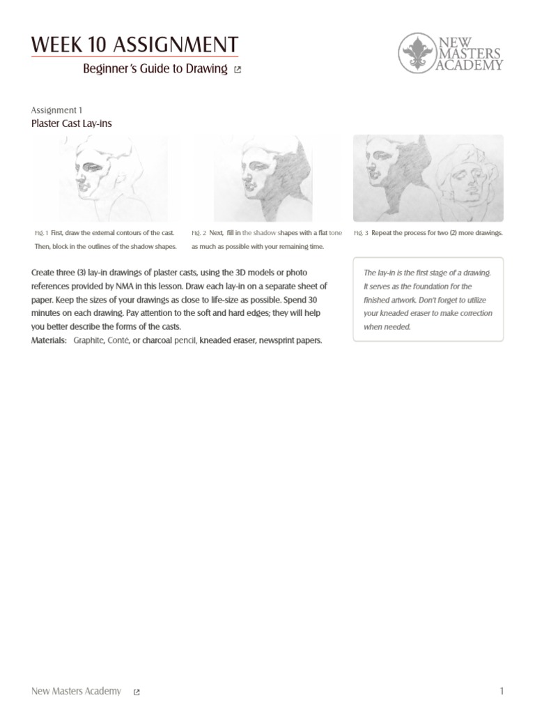 Beginners Guide To Drawing Week10 Assignments LT-1 | PDF