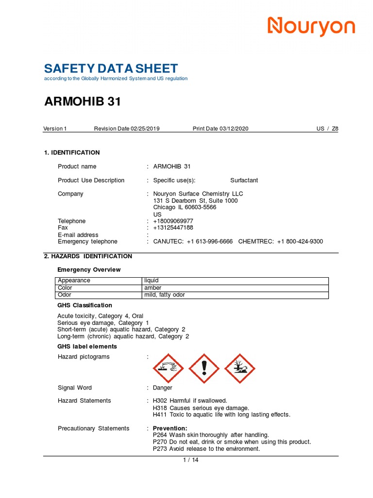 SafetyDataSheet (SDS) 31 Liquid en 03122020 | PDF | Toxicity | Working Conditions