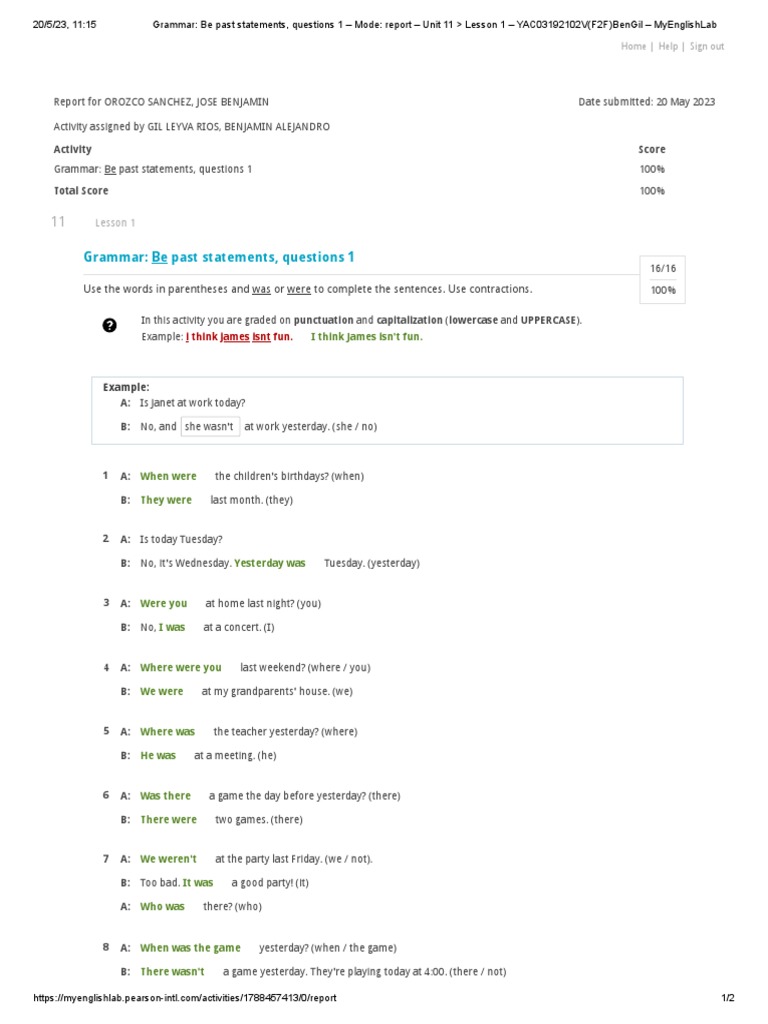 Grammar Report: Past Statements & Questions | PDF | Typography | Graphemes