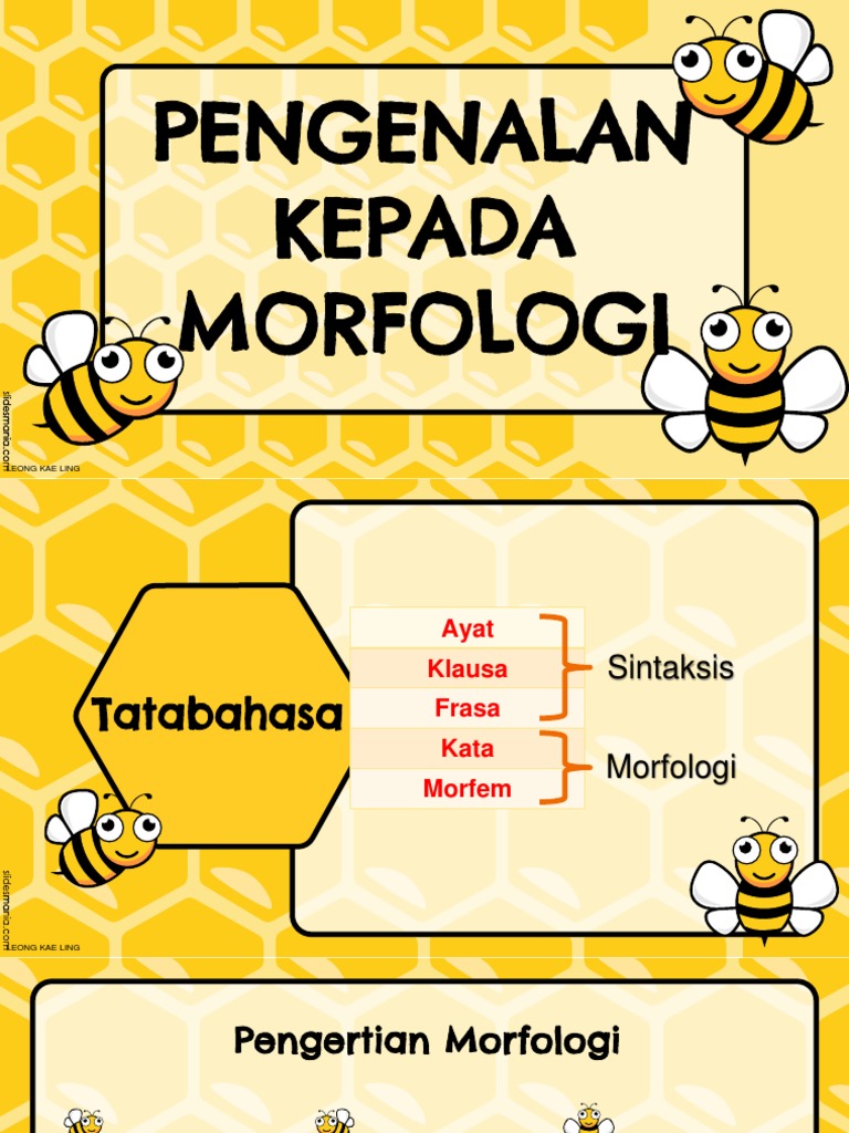 Bab 1 Pengenalan Kepada Morfologi | PDF