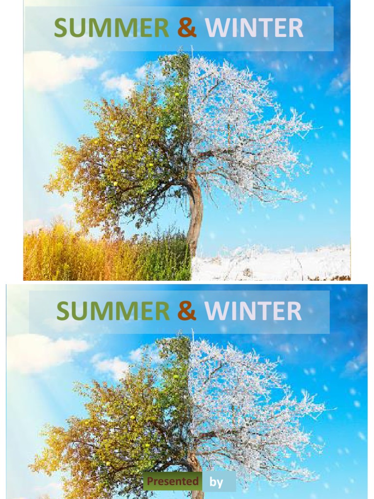 Summer vs. Winter: Weather, Food, and Activities | PDF | Home & Garden