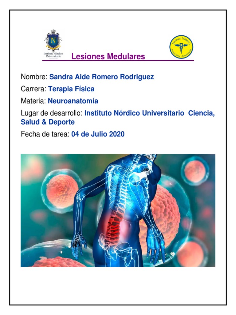 Lesiones Medulares | PDF | Lesión de la médula espinal | Médula espinal