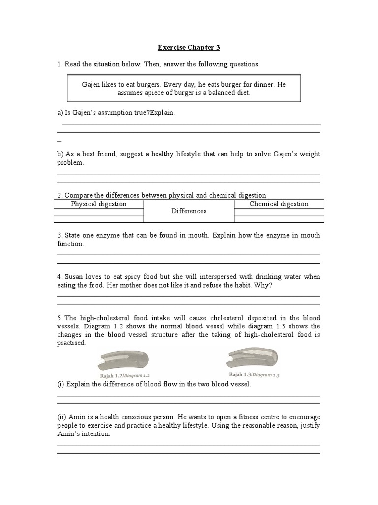 Exercise Chapter 3 | PDF