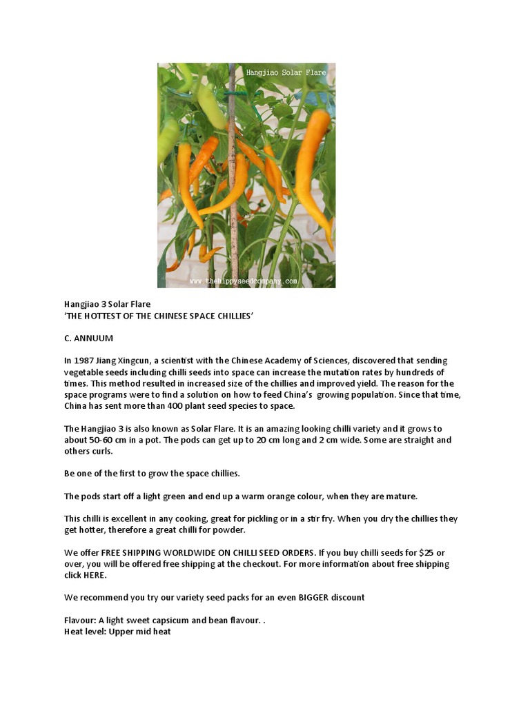 Chilli | PDF | Chili Pepper | Capsicum