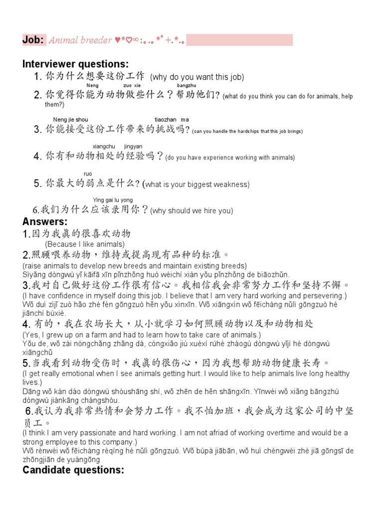 Interview Chinese Project | PDF | China | World Politics