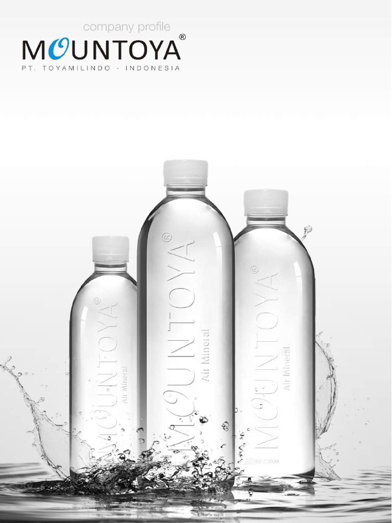 Mountoya Profile Prnt | PDF