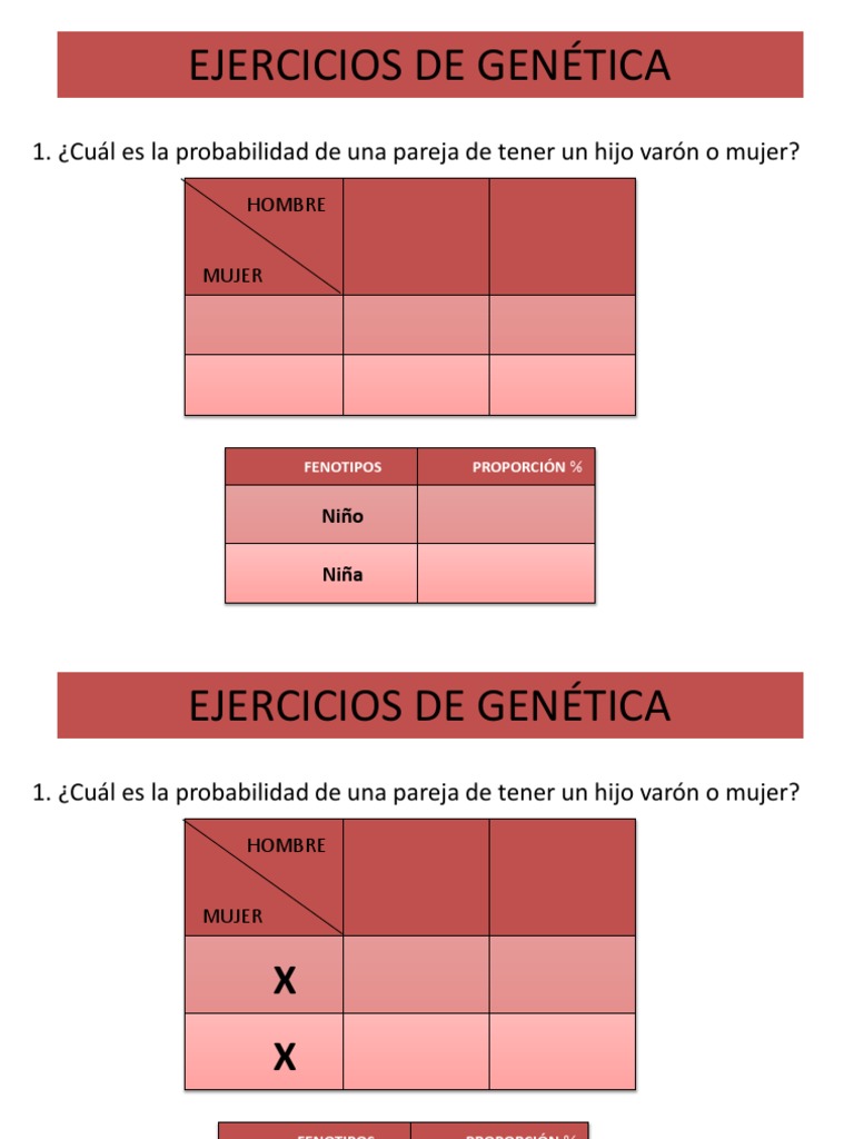 7 Ejercicios - Cuadro de Punnett | PDF