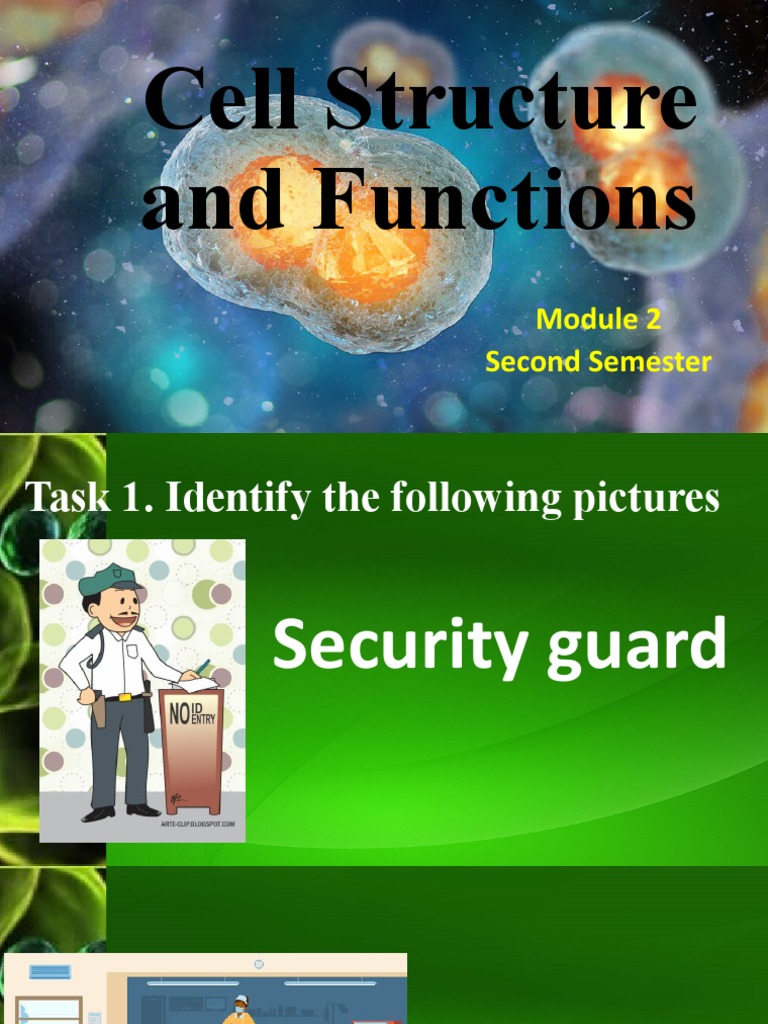 Module 2 Cell Structure and Functions | PDF | Cell (Biology ...