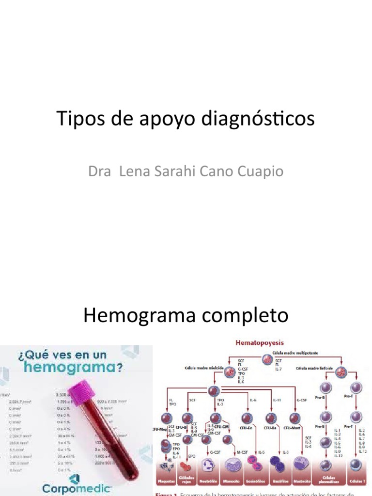 Hemogram A | PDF