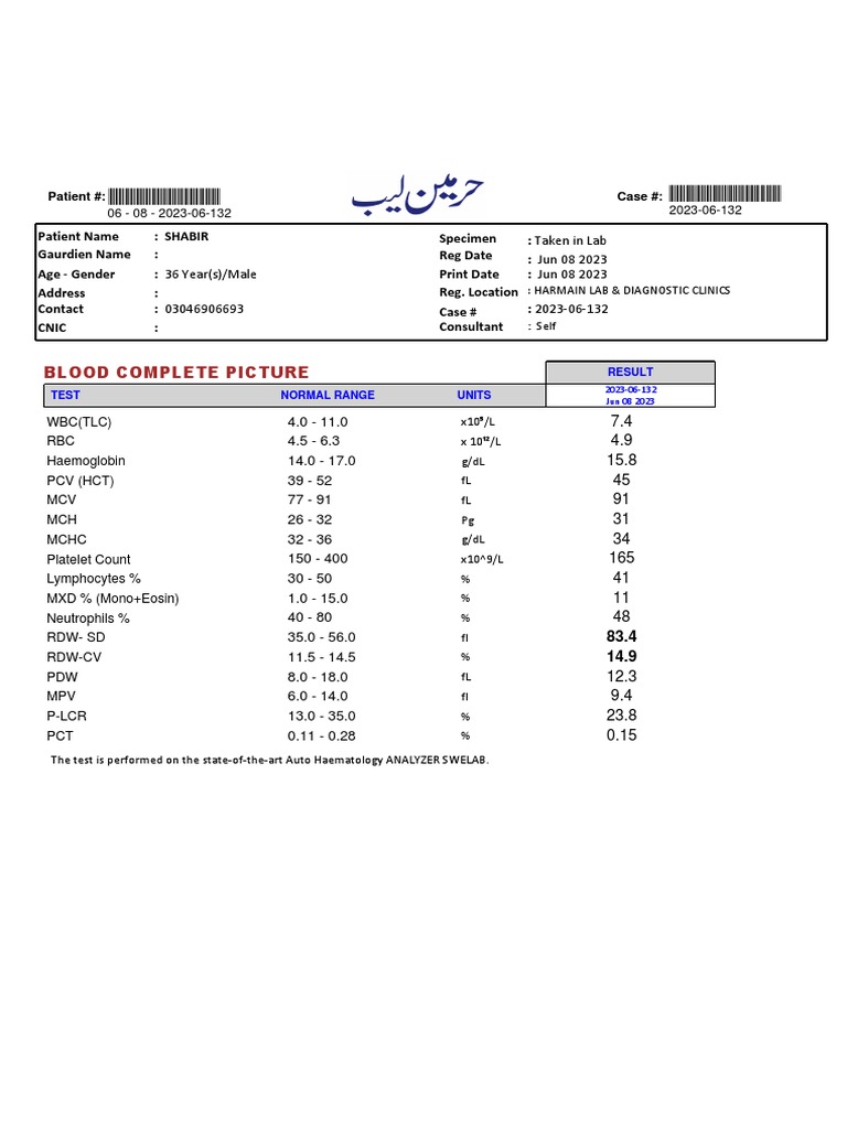 Your Lab Report 1 Pdf