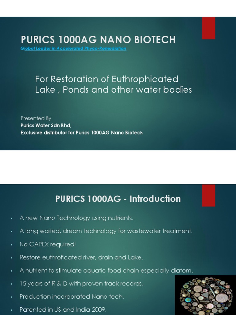 Purics 1000AG - Lakes & Water (Slide) | PDF | Silicon | Water