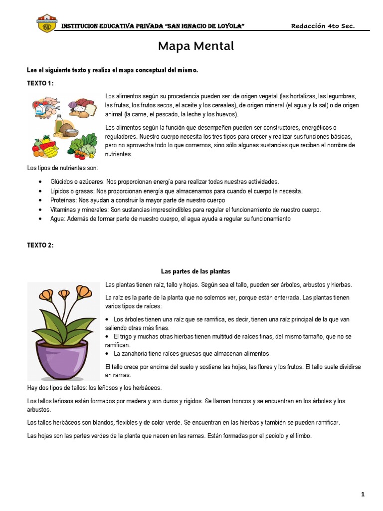 Redacción Ficha 23 El Mapa Mental | PDF | Tallo de la planta | Nutrientes